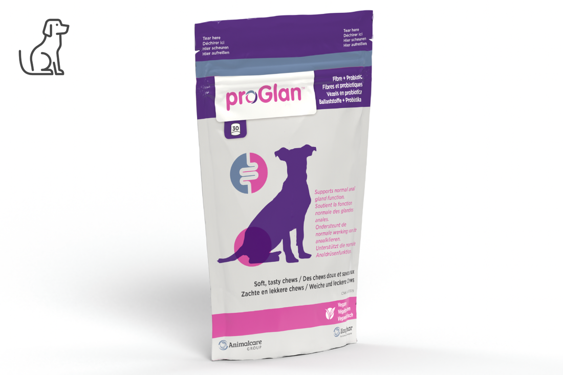 proGlan Fibre + Probiotic Soft Chews for Dogs – Paw Peak Care