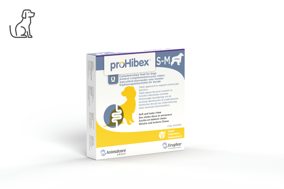 proHibex Anti-Diarrhoea (S-M) for dogs up to 25kg – Paw Peak Care