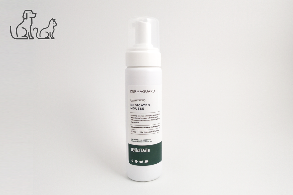 DermaGuard Medicated Mousse – Paw Peak Care